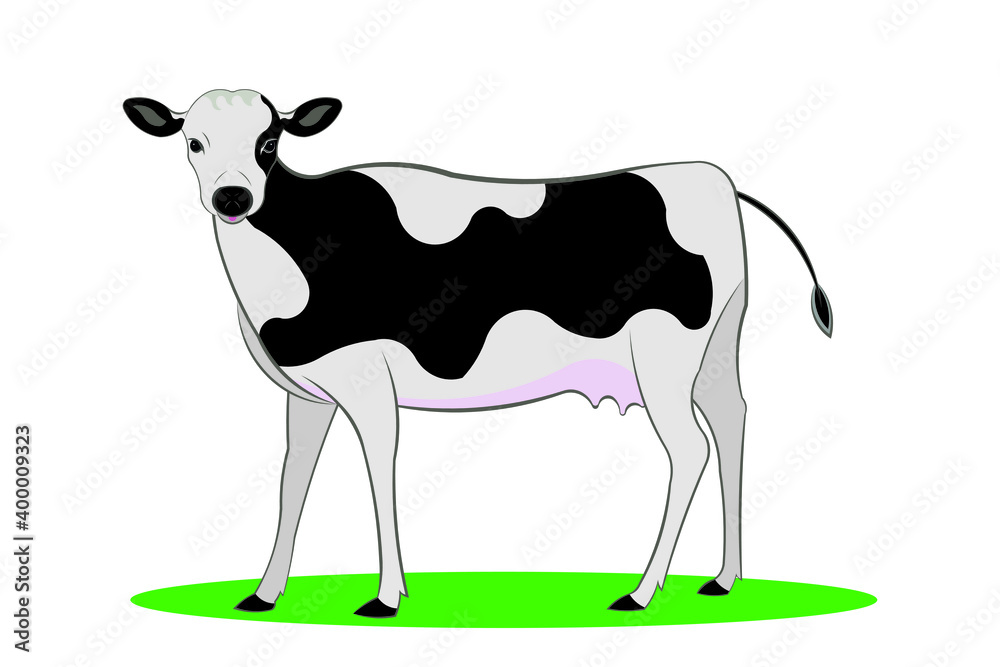 cow or dairy cow drawing in cartoon vector Stock Vector | Adobe Stock
