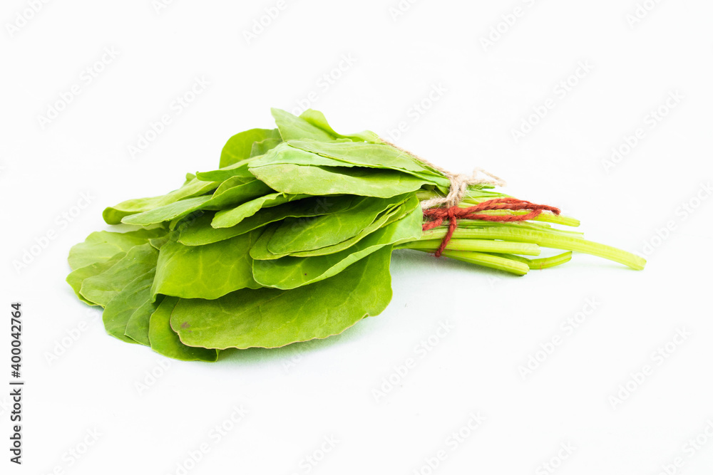 High Quality Lush Green Leaves Of Indian Vegetable Palak Spinach ...