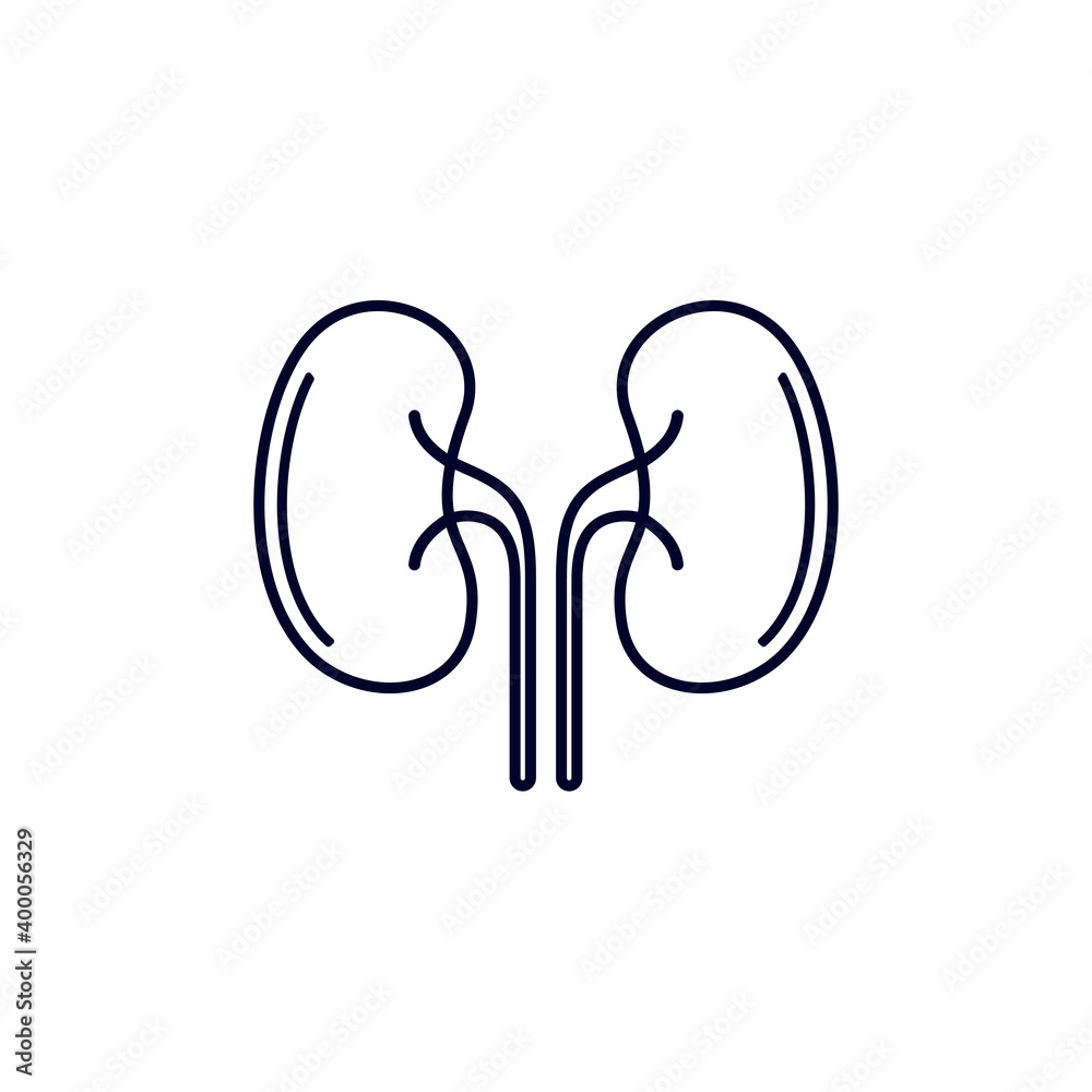 Kidney logo design vector template, Organs logo design concept, Icon ...
