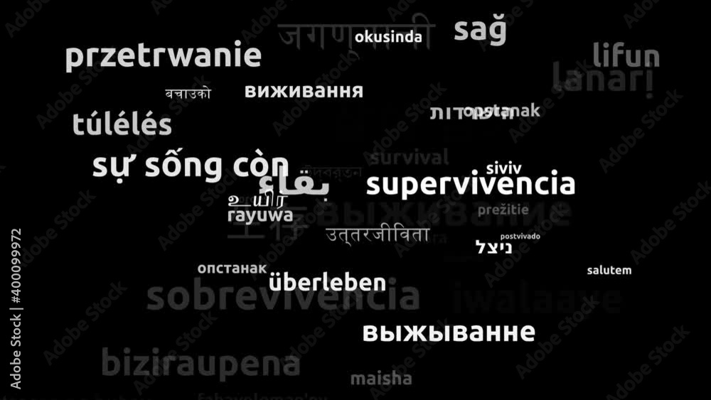 Survival Translated in 48 Worldwide Languages Endless Looping 3d ...