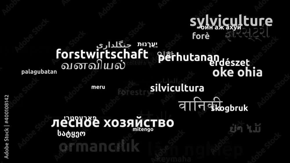 Forestry Translated in 48 Worldwide Languages Endless Looping 3d ...