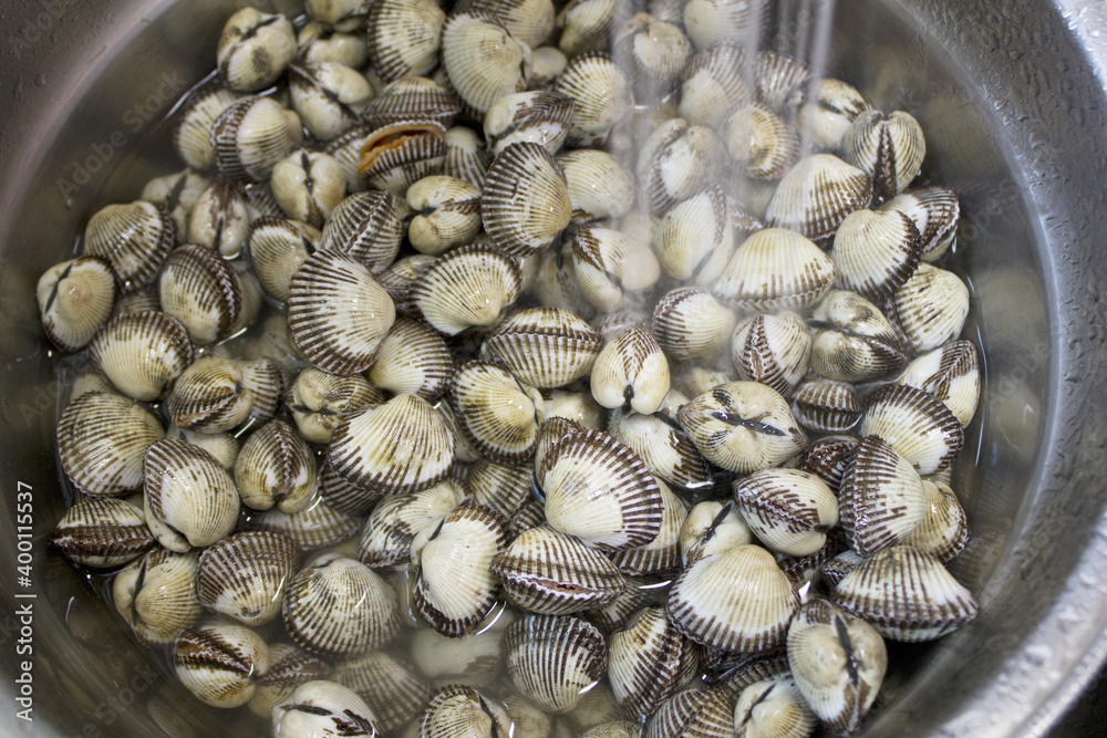 Cockles clams lays on top of each other. Crisp picture of cockle clams ...