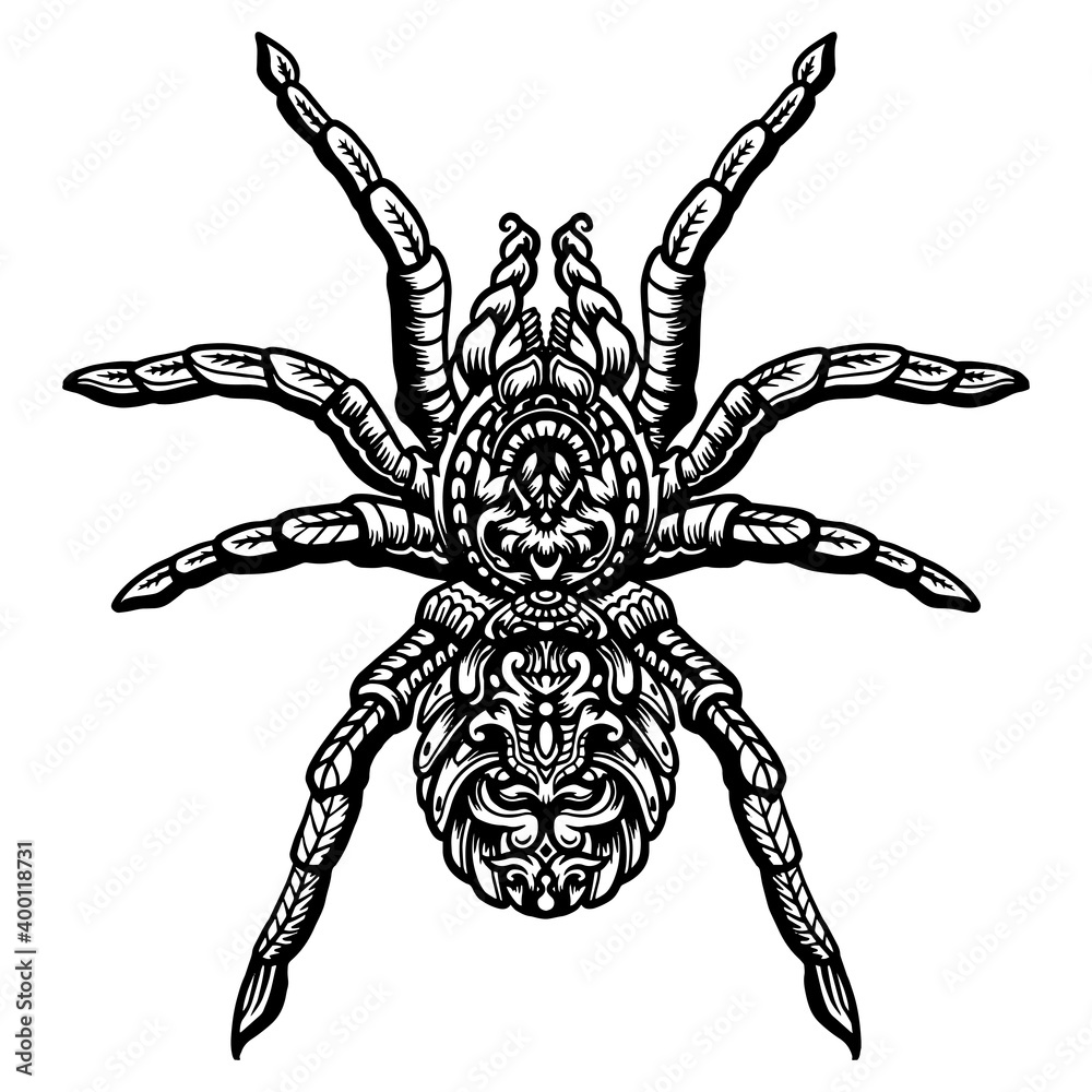Hand drawn of spider or tarantula zentangle arts . vector illustration ...