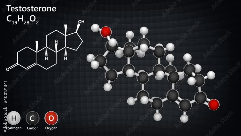 Molecular Structure Of Testosterone Steroid Hormone From The Androgen