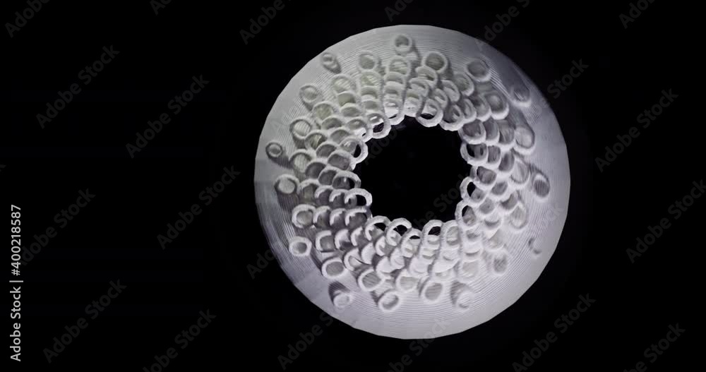 Geometric disc shape optical illusion | Fibonacci sequence | the golden ...