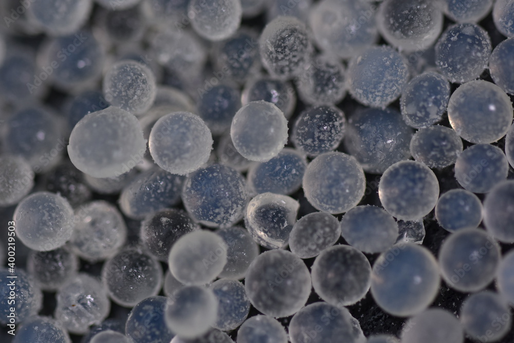 Silica gel pellets,Dessicant, silica gel Stock Photo | Adobe Stock