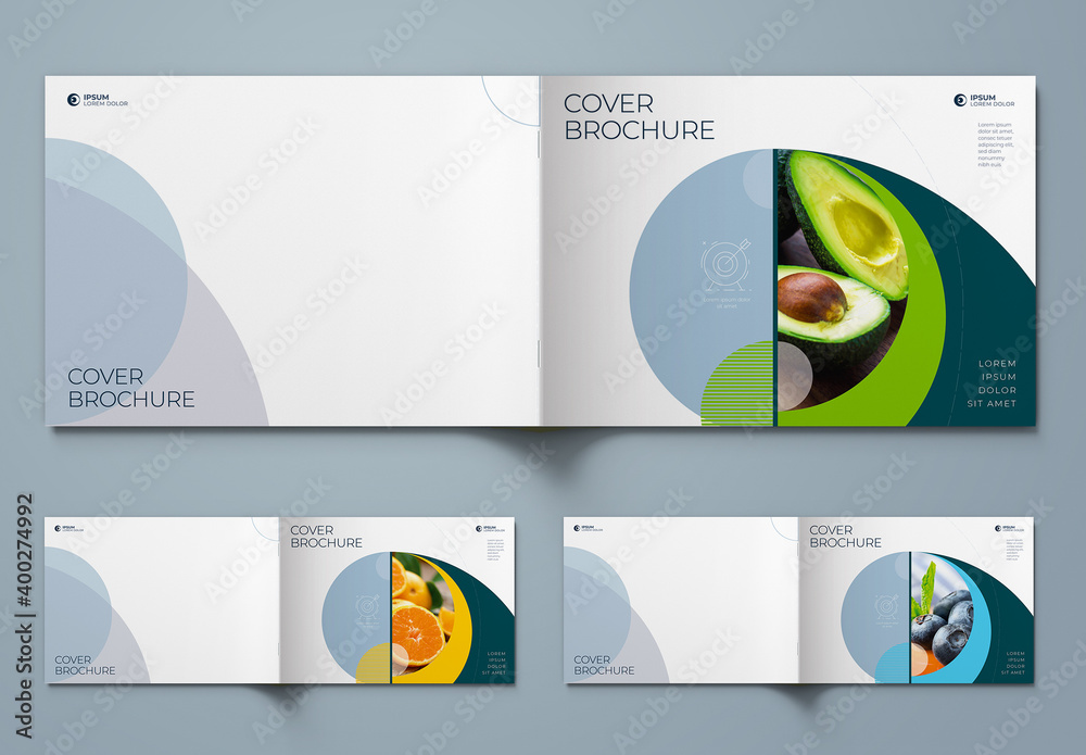 Business Landscape Cover Layout Set with Color Elements Stock Template ...