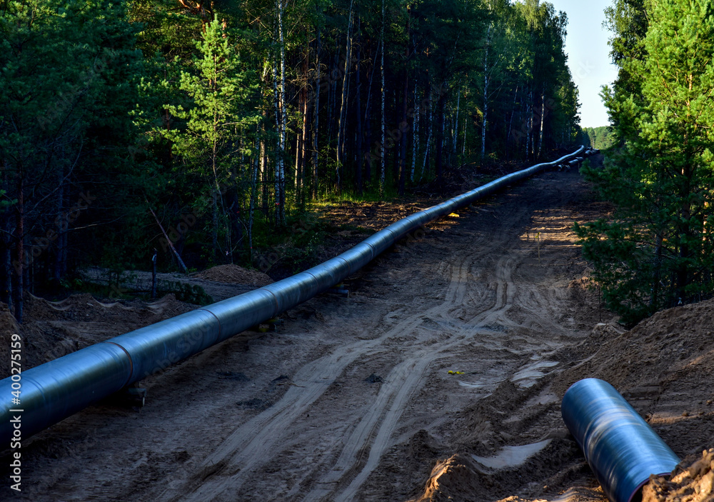 Natural gas pipeline construction work in forest area. Crude oil pipe ...
