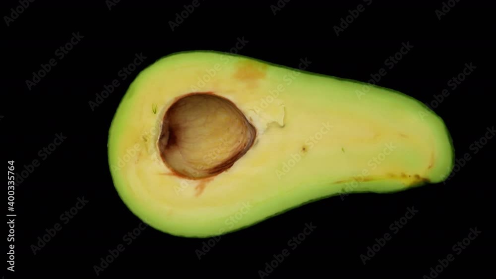 Vidéo Stock Realistic render of a rotating green Florida avocado (cut ...
