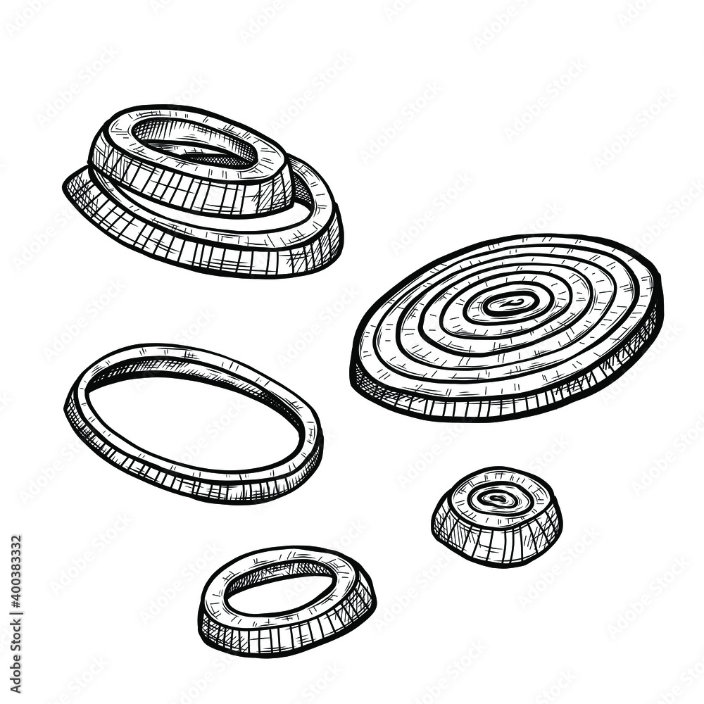 Vector sketch illustration of onion rings drawing isolated on white ...