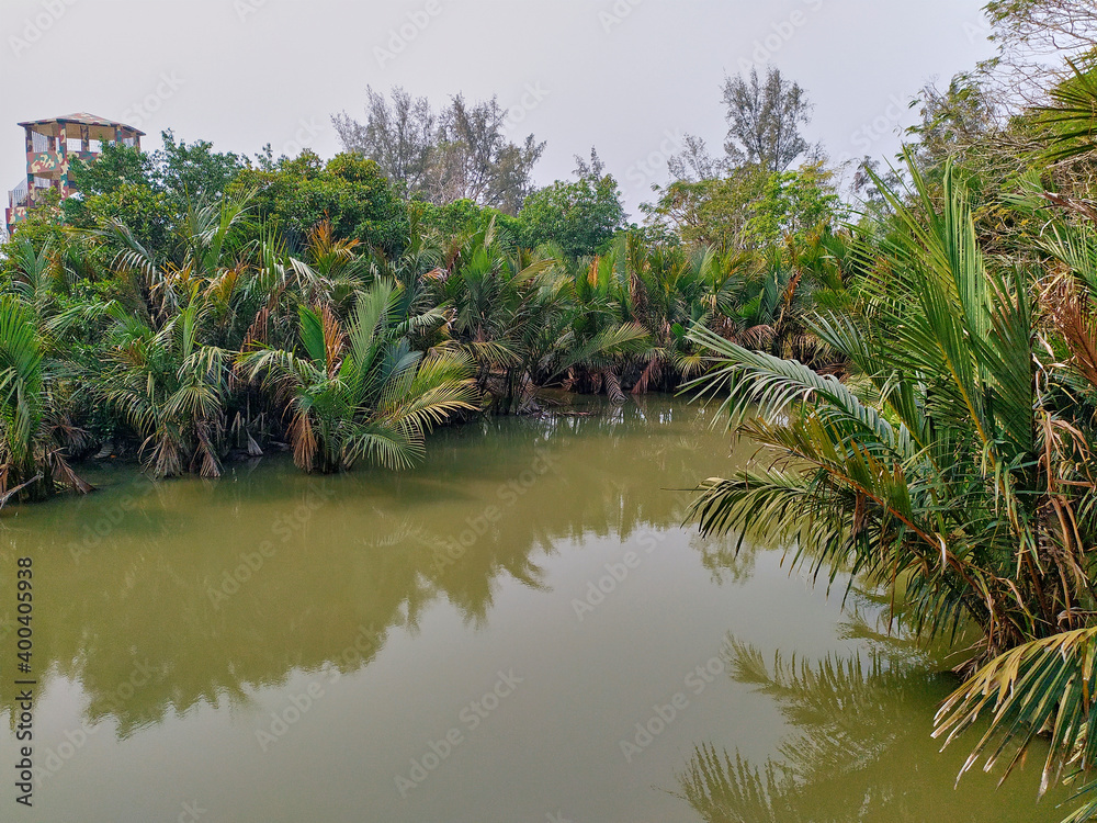 Water logged swamps at Sundarbans biosphere reserve, near Gosaba, West ...