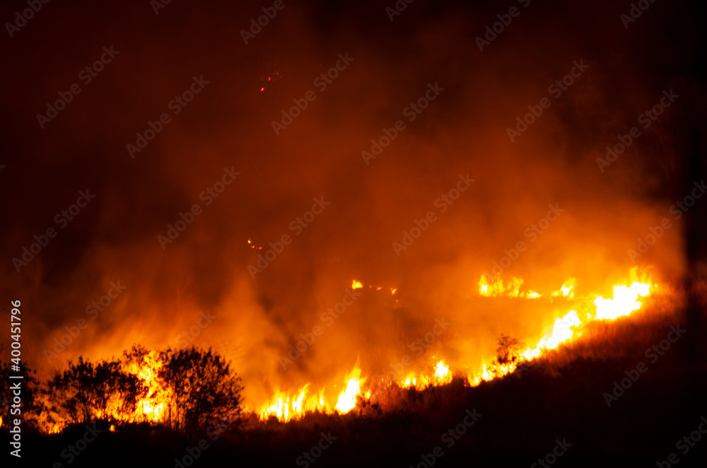 Wildfires that occur in tropical forests are for agriculture. The use ...