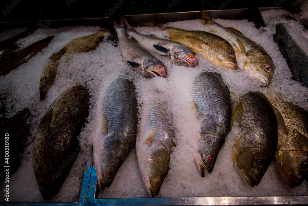 Sea fish are sold in supermarkets at Kuala Lumpur city, Malaysia. Stock ...