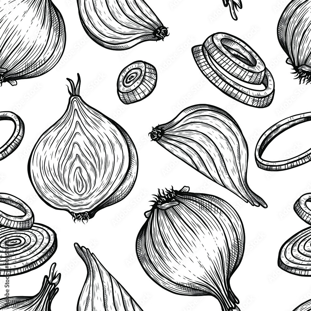 seamless pattern vector sketch illustration of onion set drawing ...