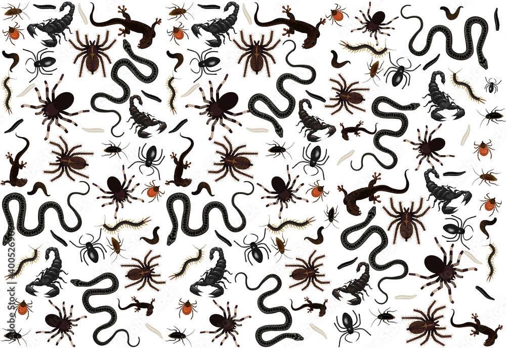 Spooky pattern of poisonous insects on a white background. Vector ...