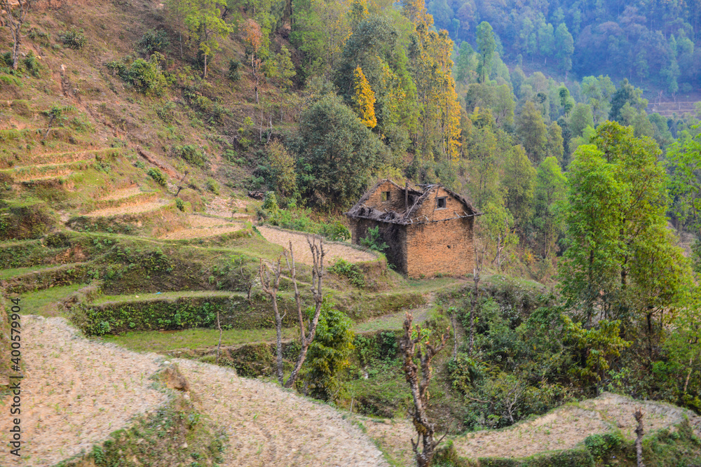 Terraces of rice fields and terraces of rice fields and abandoned ...