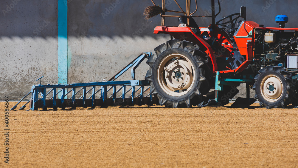 Focus at red tractor is parked on grain paddy rice drying courtyard ...