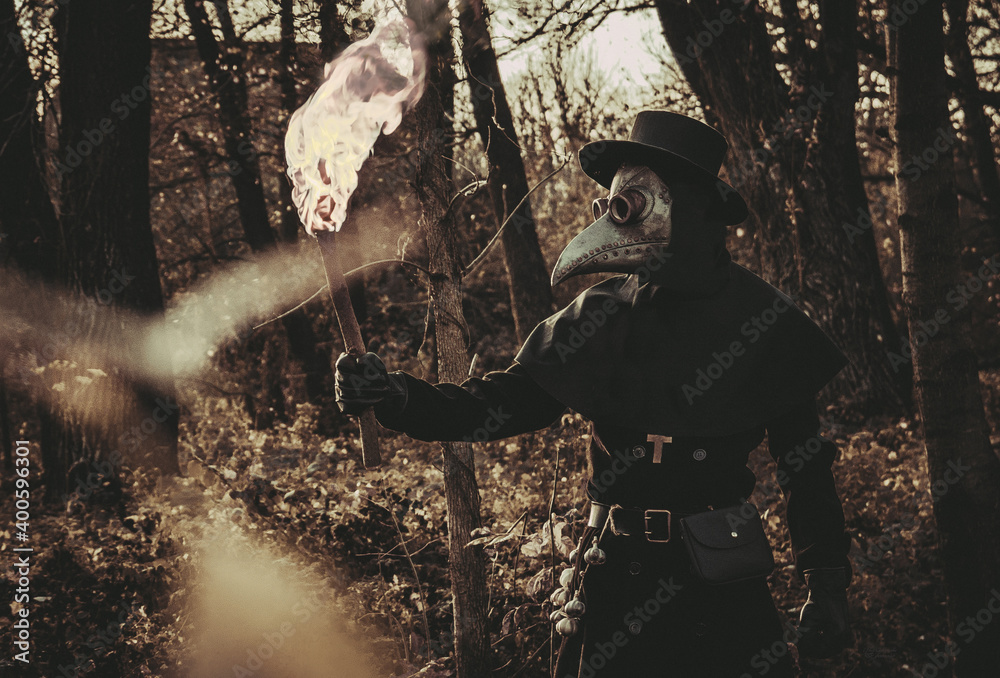 The Plague Doctor, mask, raven, plague, protection, costume, black ...