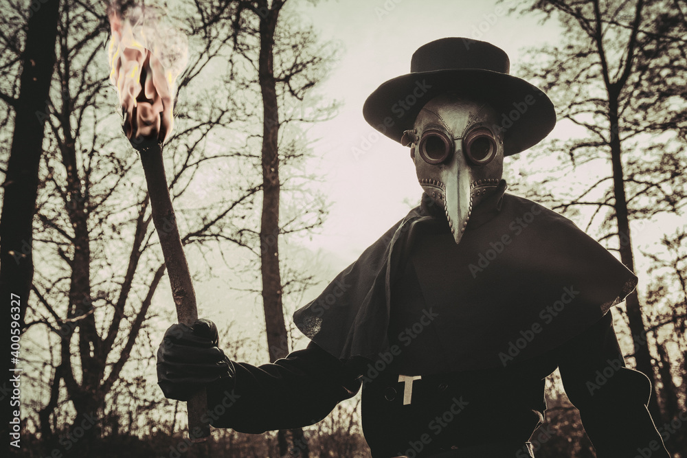 The Plague Doctor, mask, raven, plague, protection, costume, black ...