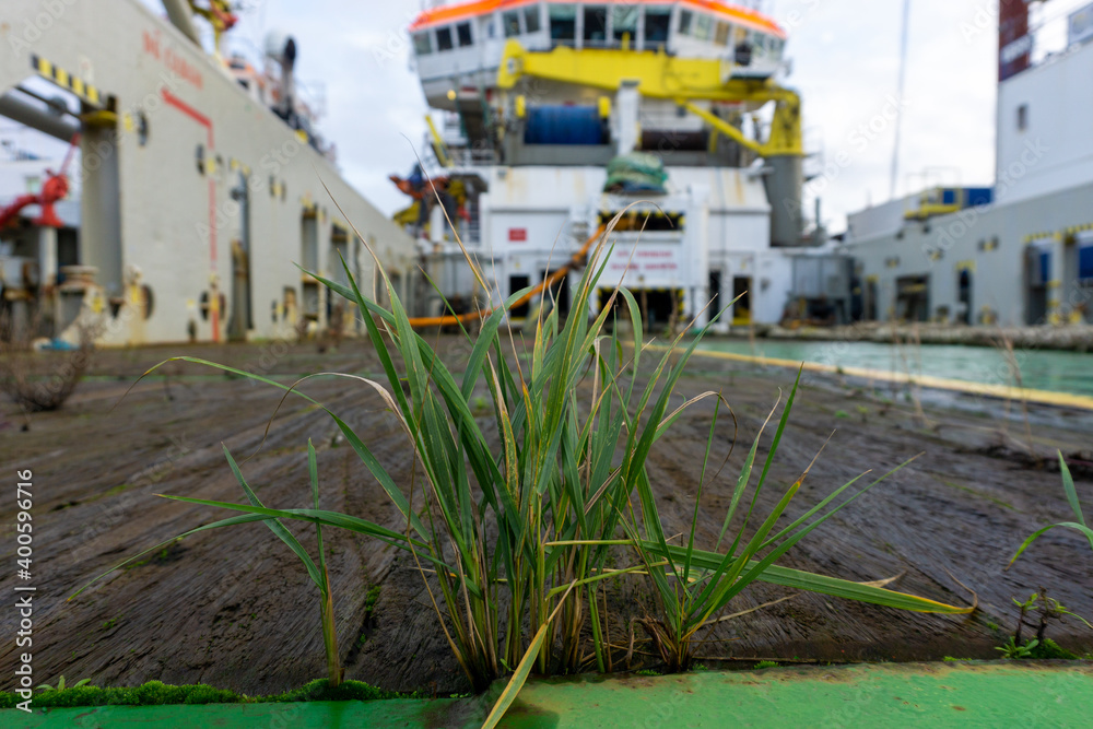 Deck of laid up anchor handling vessel. Grass growing on deck of laid ...