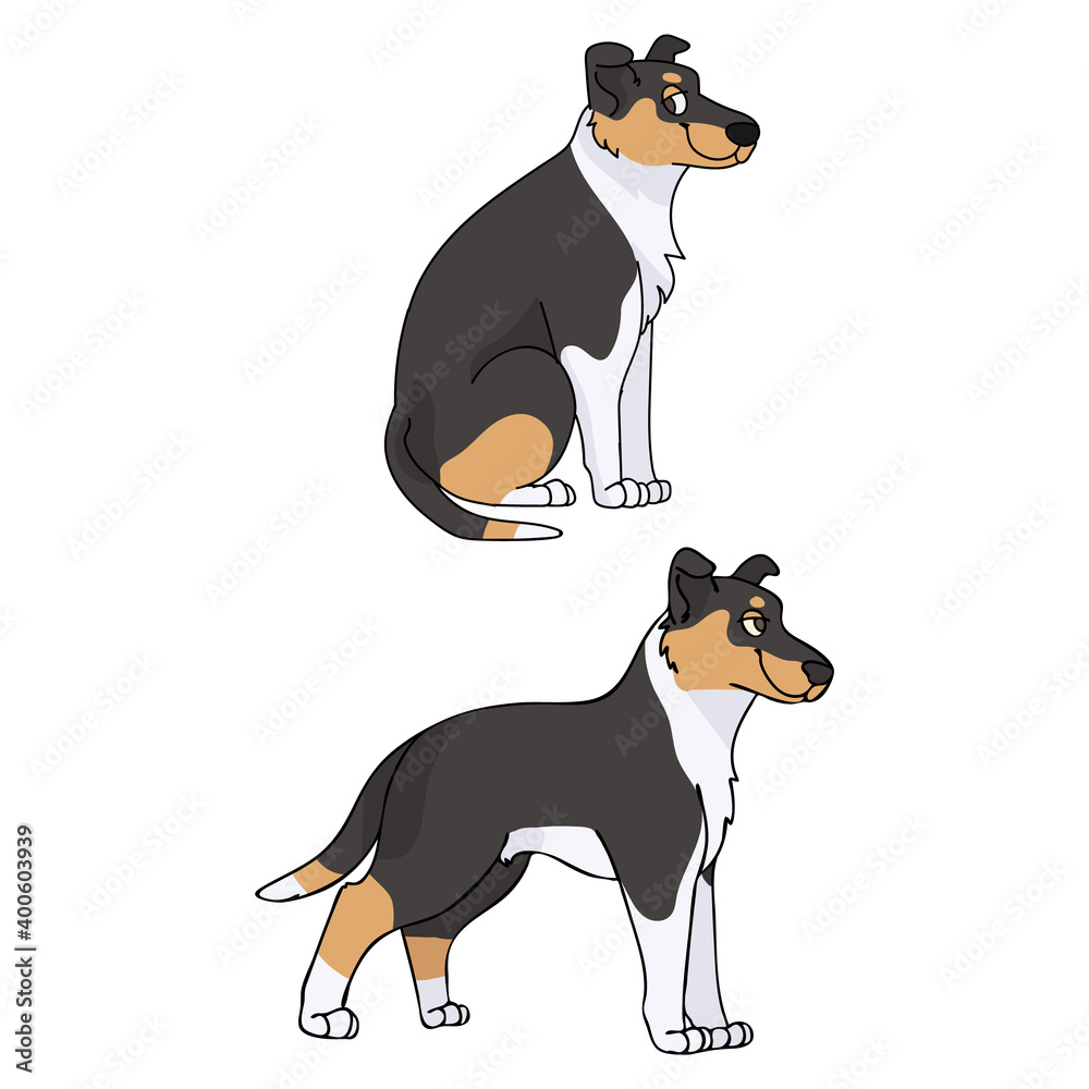 Cute cartoon Smooth Collie dog vector clipart. Pedigree kennel doggie ...