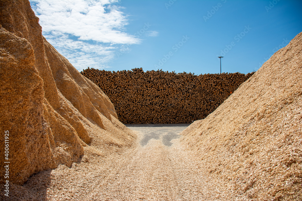 Pulpwood logs and their wood texture. Stock Photo | Adobe Stock
