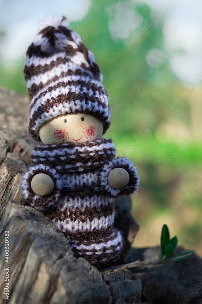 Duendes adorables e invernales en la naturaleza Stock Photo | Adobe Stock