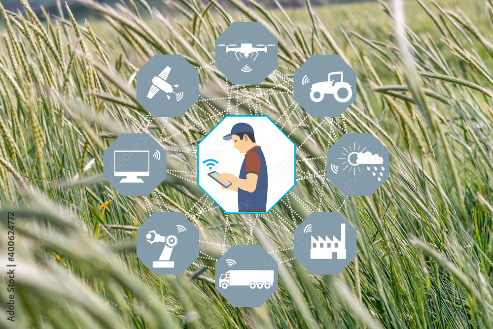 Smart Agriculture concept. Grain production with modern farming ...