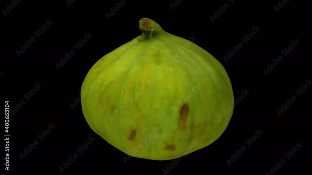 Realistic render of a rotating green calimyrna fig on transparent ...