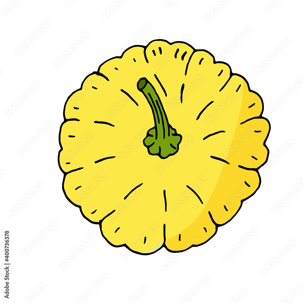 One yellow squash in doodle style isolated on white background. Vector ...