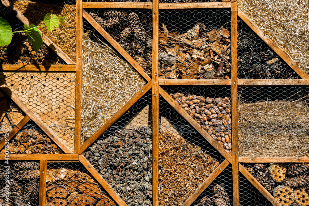Insect Hotel With Compartments As Shelter For Animals To Improve ...