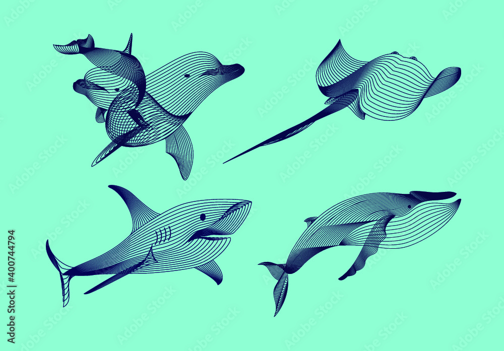 Set marine graphic animals. Vector illustration. The shark, whale ...