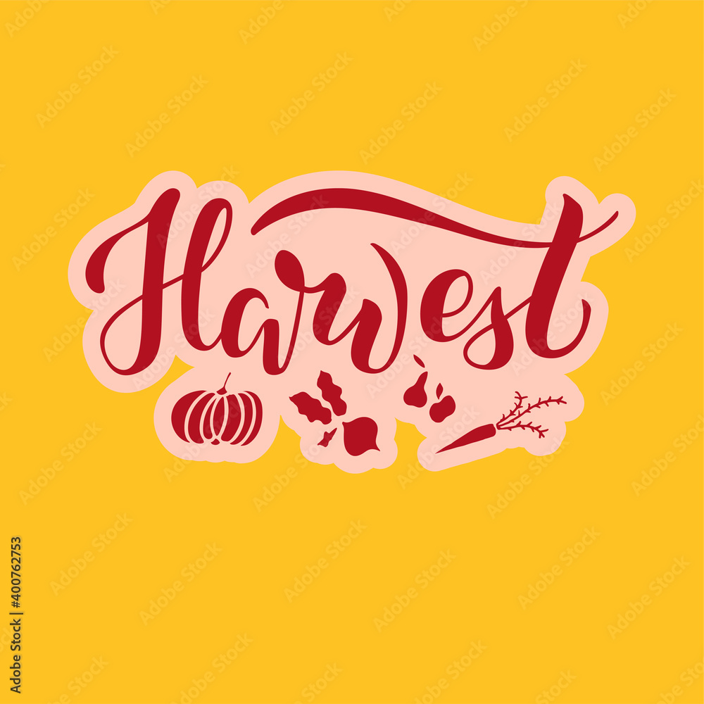 Vector illustration of harvest brush lettering for banner, leaflet ...