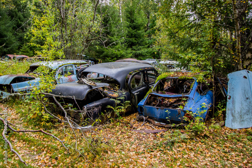 rusty old vintage cars, some with missing doors and windows, Bastnäs ...