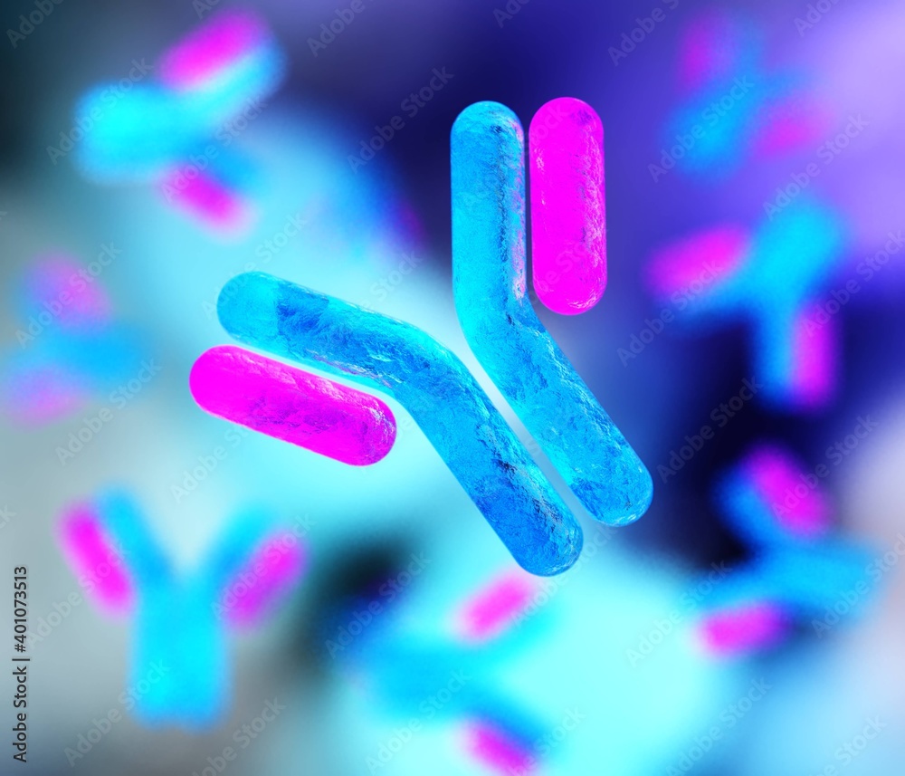 antibodies, immunoglobulins, the immune system, 3D rendering Stock ...