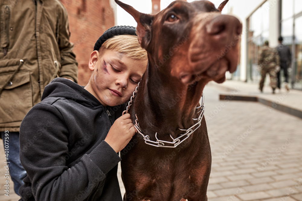 poor boy hugs the dog, street boy with dog doberman in city street, the ...