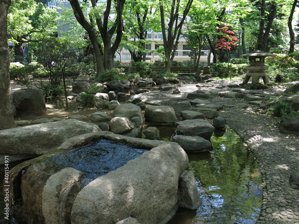 新緑が美しい春の高橋是清翁記念公園（和風庭園） Stock Photo | Adobe Stock