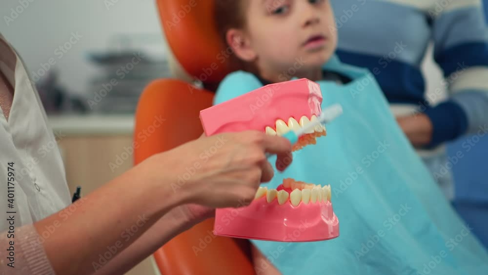 Pediatric dentist showing the correct dental hygiene using mock-up of ...