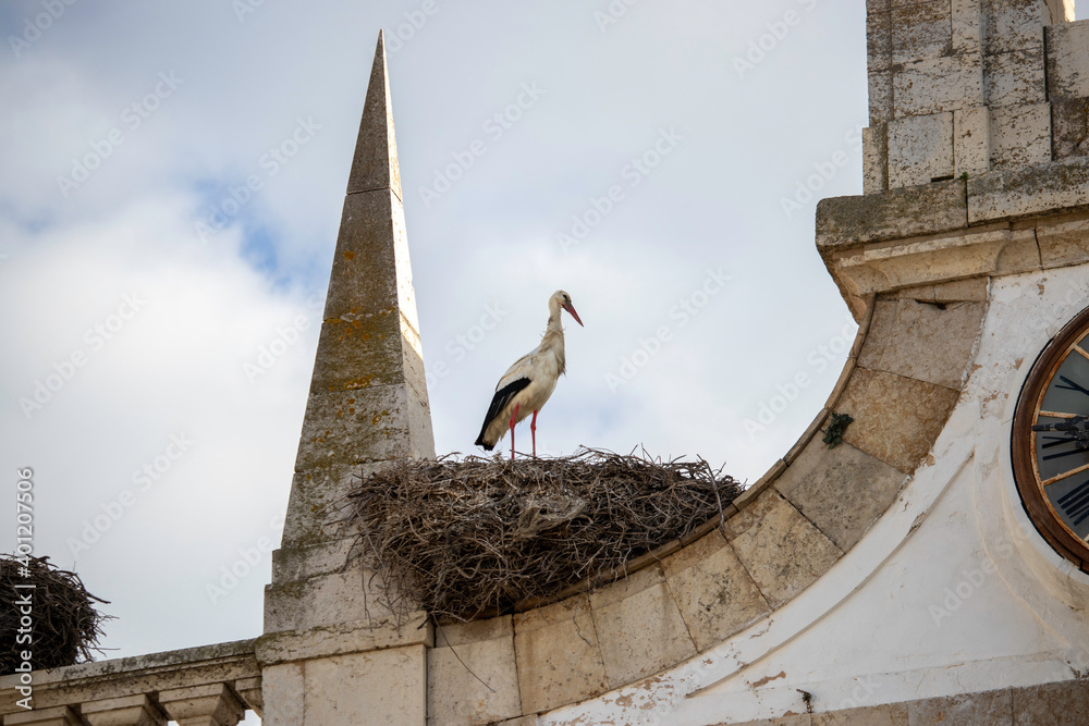 Cigueña encima de su nido en lo alto de un edificio antiguo de Faro ...