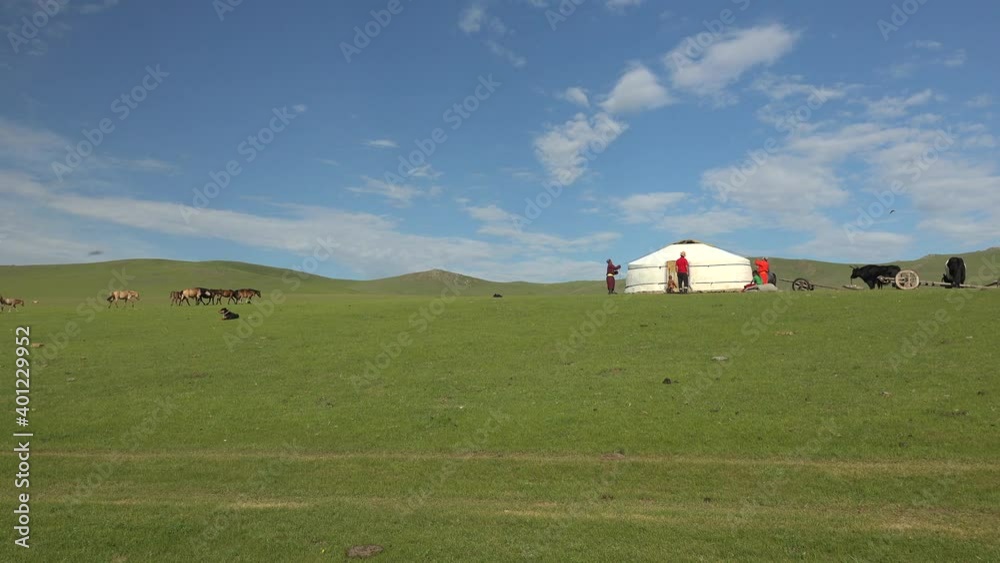 A family builds a ger tent in the meadow of Mongolia.People ger gers ...