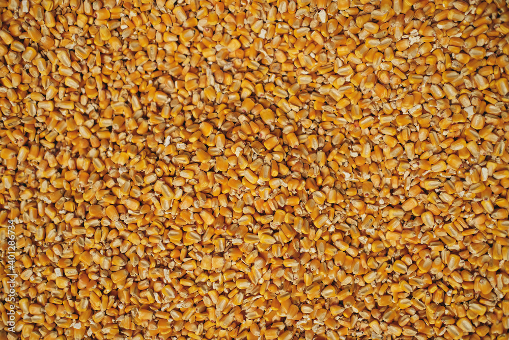 Top view of full frame background of pile of dry corn seeds stored in ...