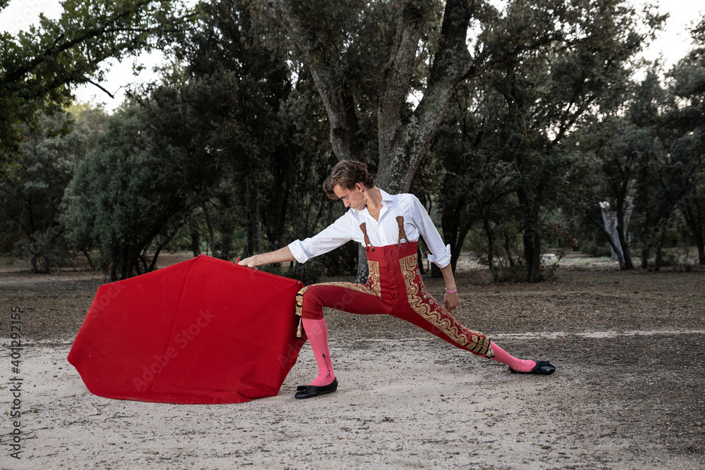 Side view of slim male bullfighter in red pants and white shirt holding ...