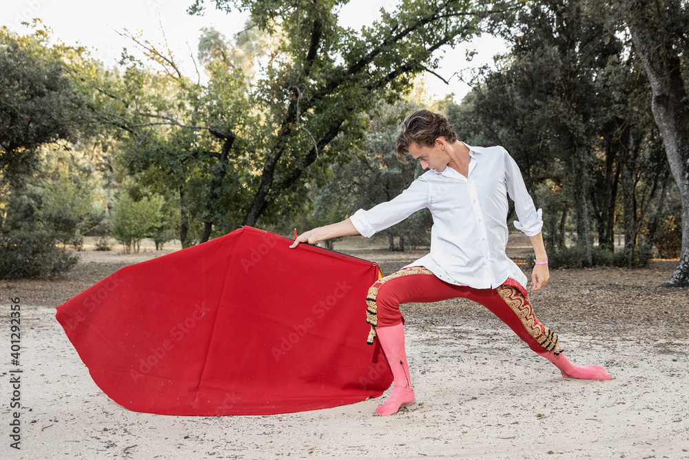 Side view of slim male bullfighter in red pants and white shirt holding ...