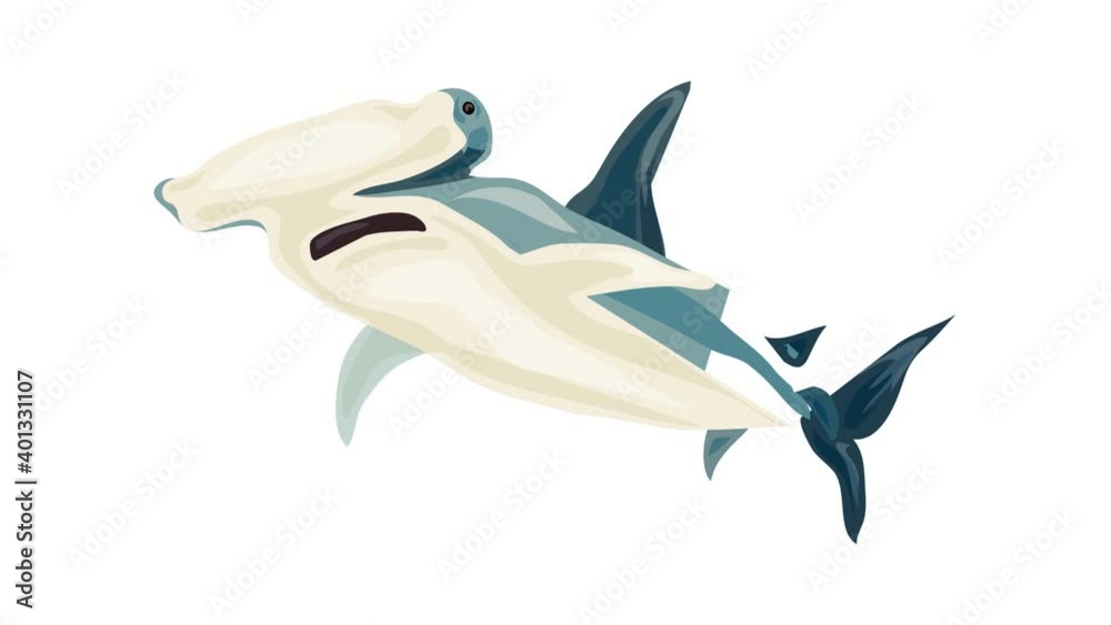 Hammerhead shark icon animation best on white background for any design ...