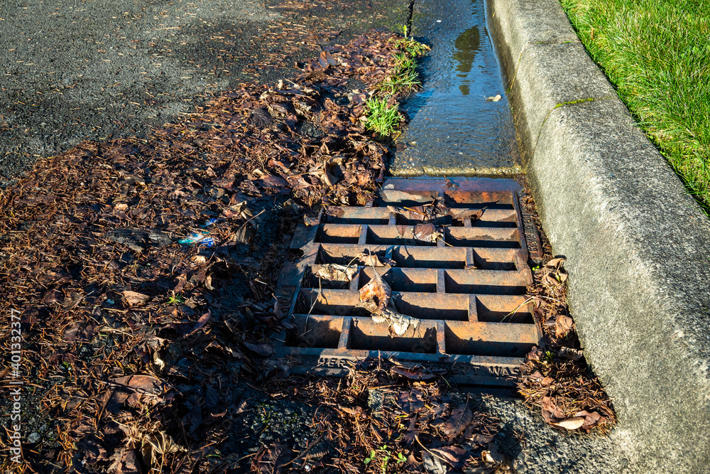 Residential storm drain on a sunny day, wet tree debris around drain ...