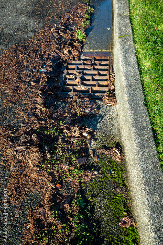 Residential storm drain on a sunny day, wet tree debris around drain ...