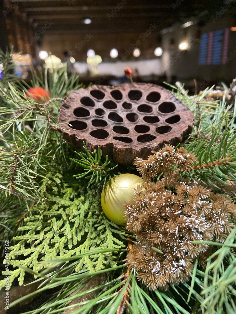Dry lotus pod. Trypophobia, fear of accumulation of holes. Stock Photo ...