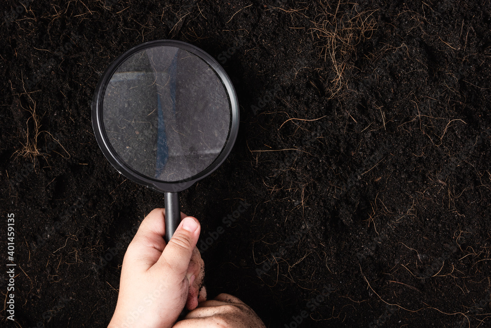 Top view of child hand hold magnifying glass for check black soil at ...