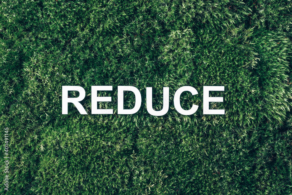 Word Reduce on moss, green grass background. Top view. Copy space ...