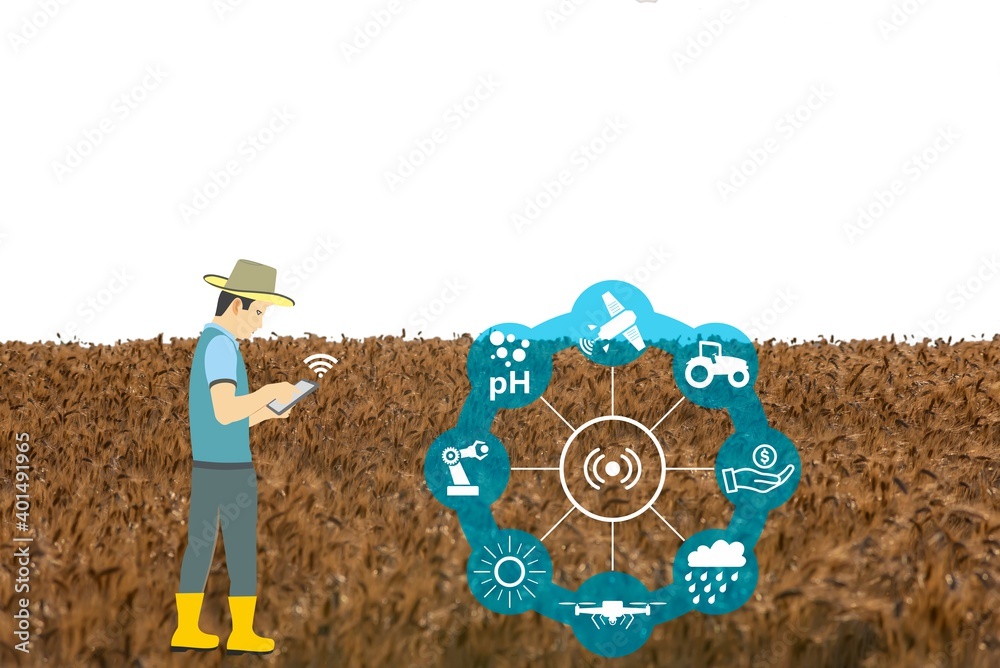 Smart Agriculture concept. production with modern farming technologies ...